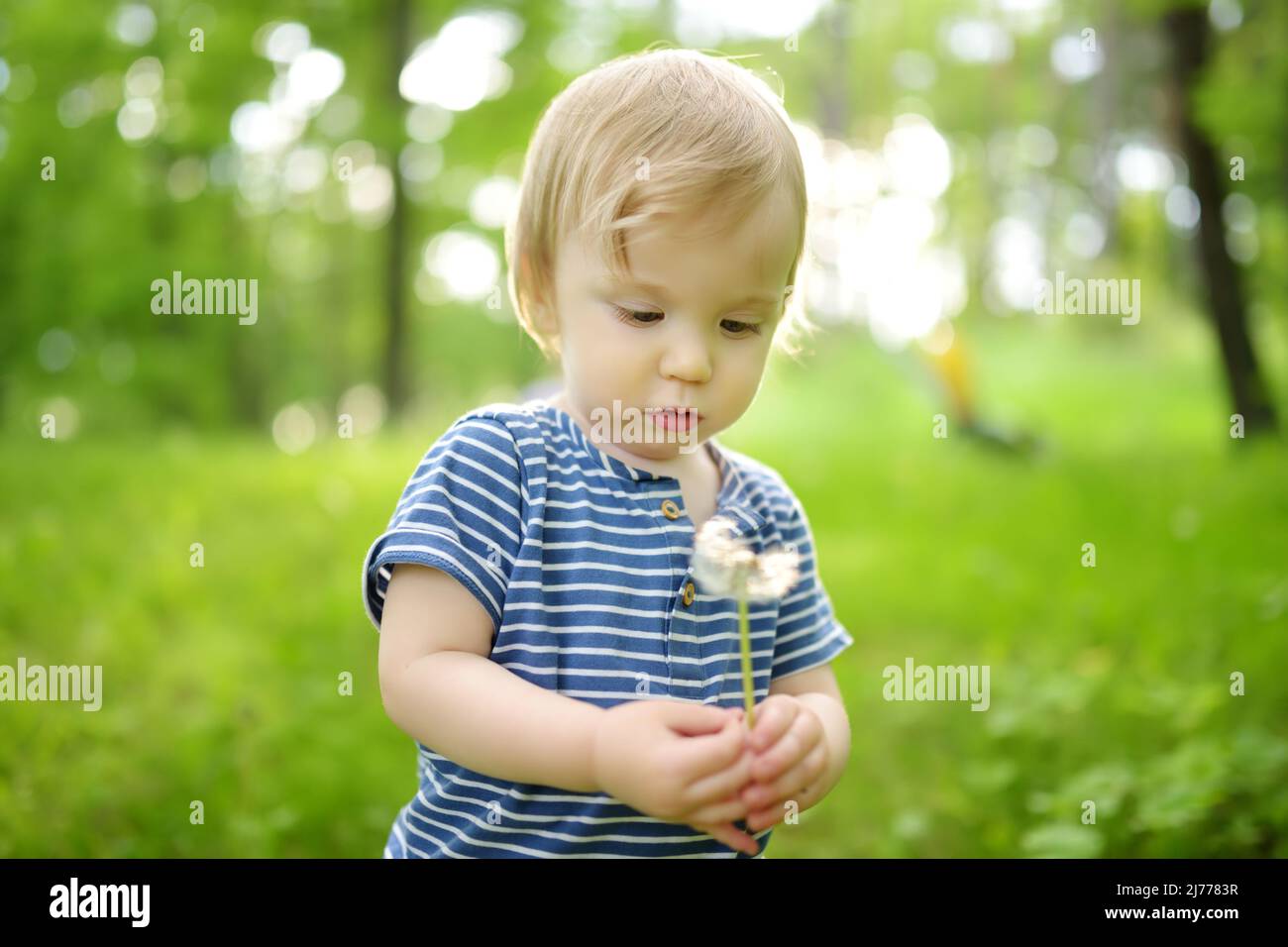 Funny toddler boy having fun outdoors on sunny summer day. Child ...