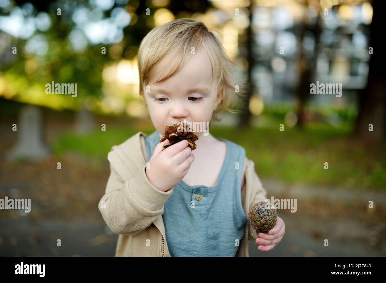 Funny toddler boy having fun outdoors on sunny summer day. Child ...