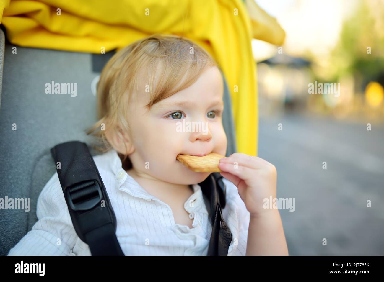 Sweet toddler boy sitting in a stroller outdoors. Little child in pram ...