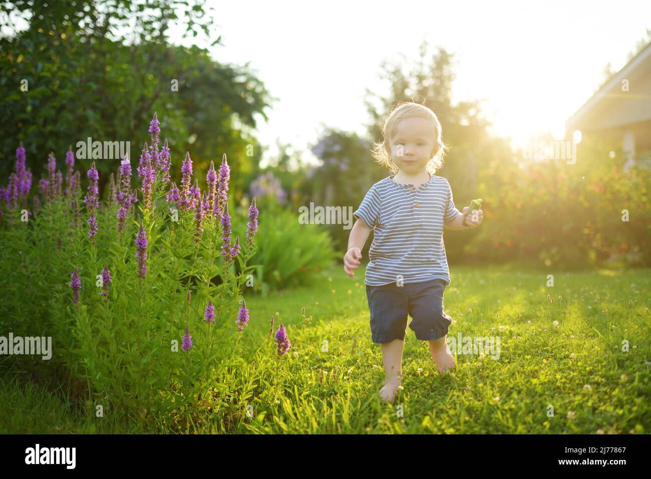 Funny toddler boy having fun outdoors on sunny summer day. Child ...
