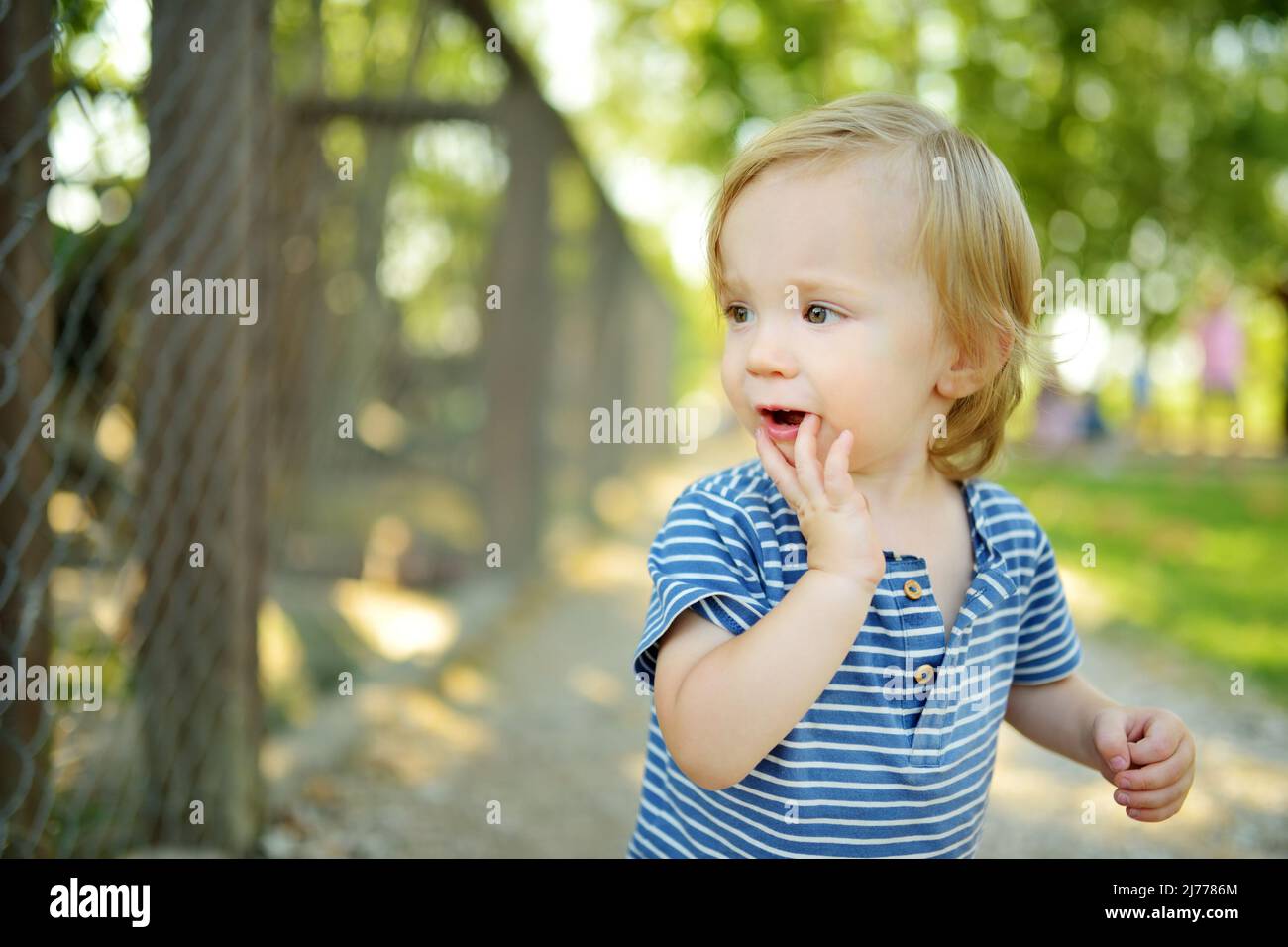 Funny toddler boy having fun outdoors on sunny summer day. Child ...