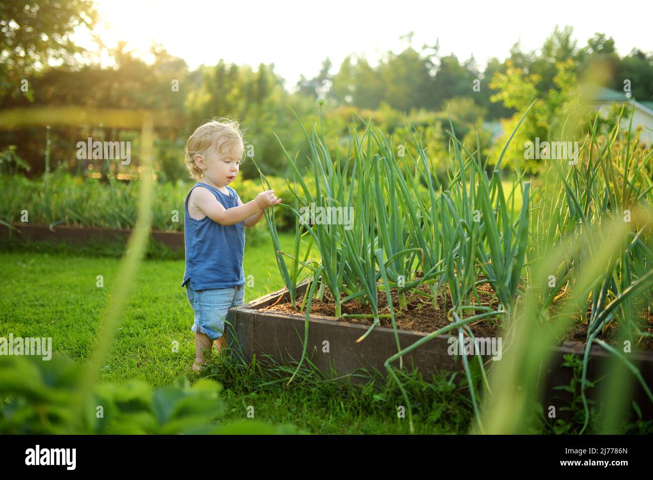 Funny toddler boy having fun outdoors on sunny summer day. Child ...