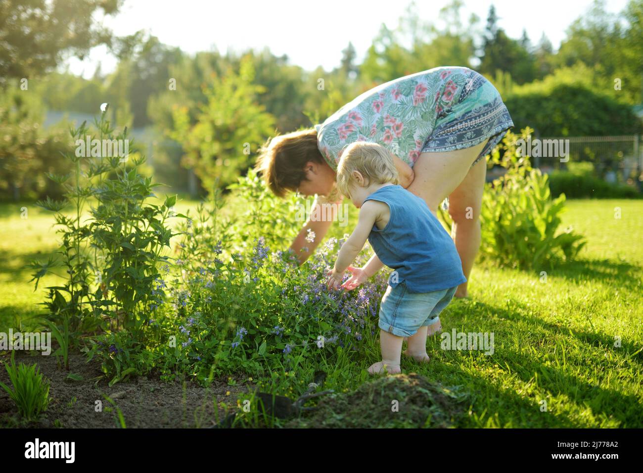 Cute toddler boy helping in the garden on sunny summer day. Child ...