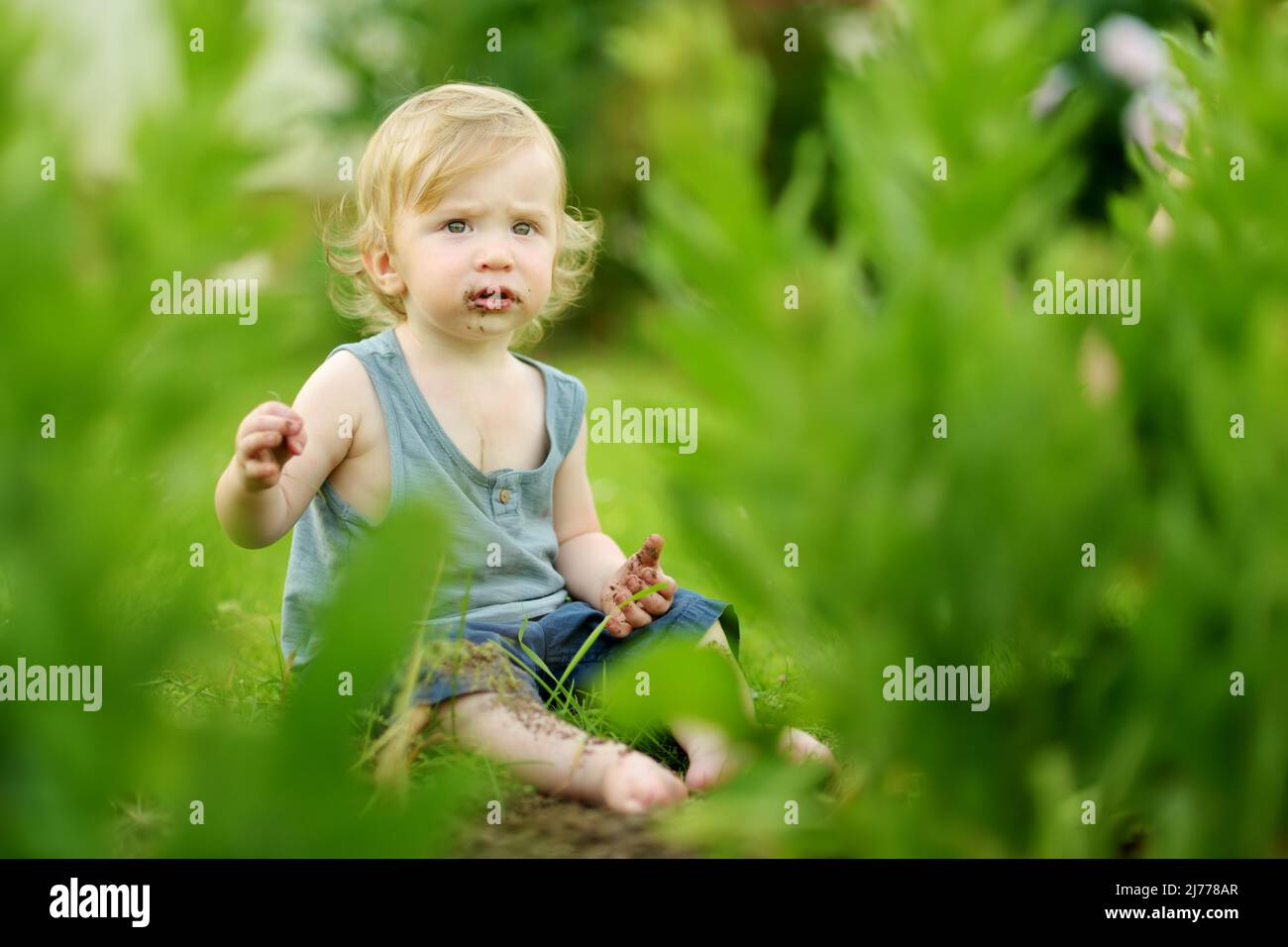Silly toddler boy putting grass and soil in his mouth while playing ...