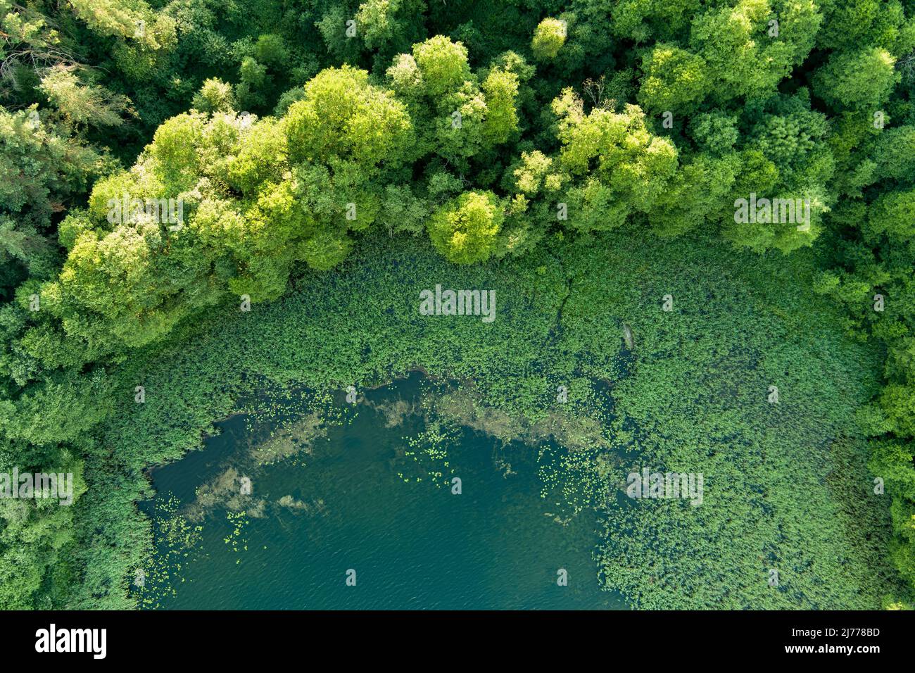 Beautiful top down aerial view of a lake in Moletai region, famous or ...