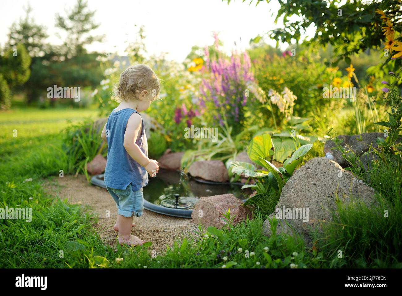 Funny toddler boy having fun by a small garden pond on sunny summer day ...