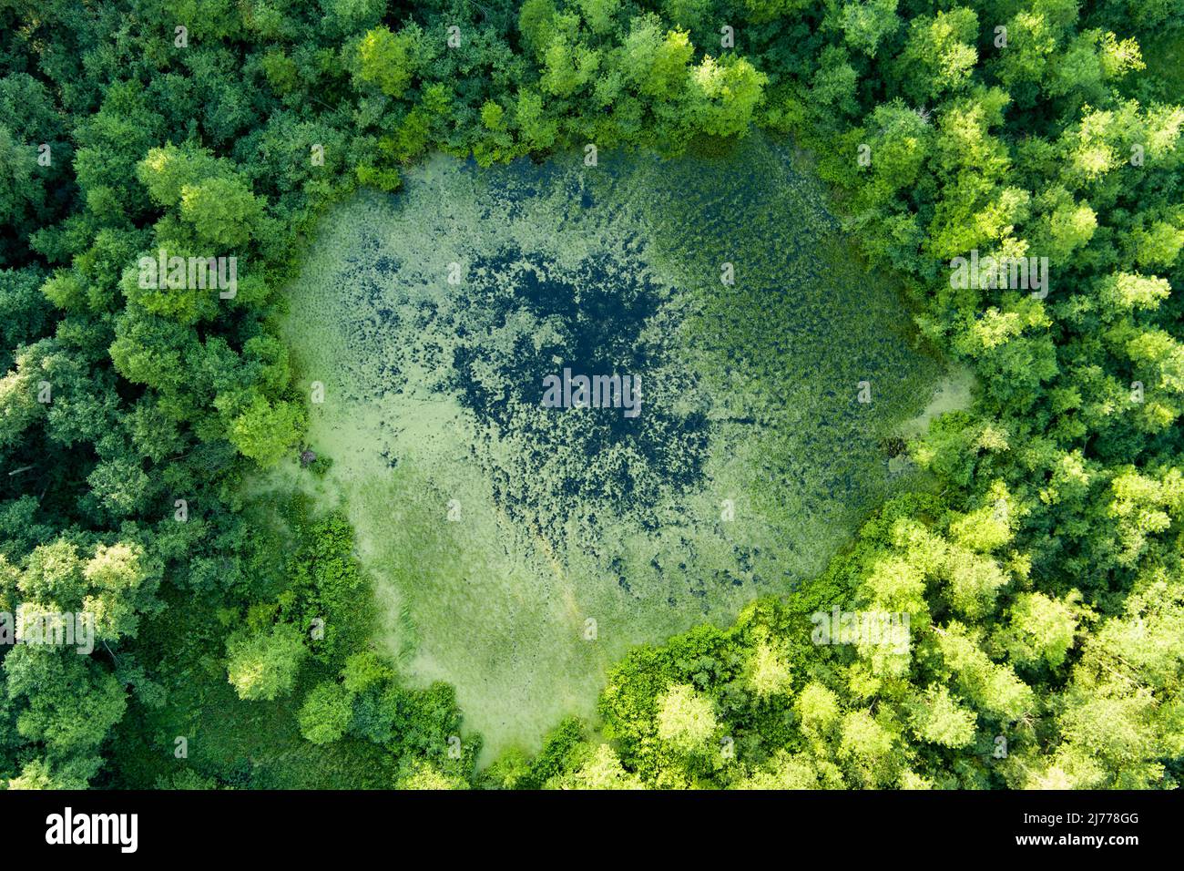 Beautiful top down aerial view of a lake in Moletai region, famous or ...