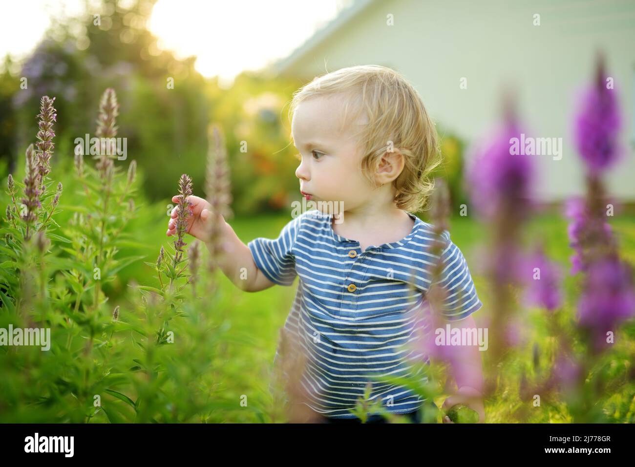 Funny toddler boy having fun outdoors on sunny summer day. Child ...