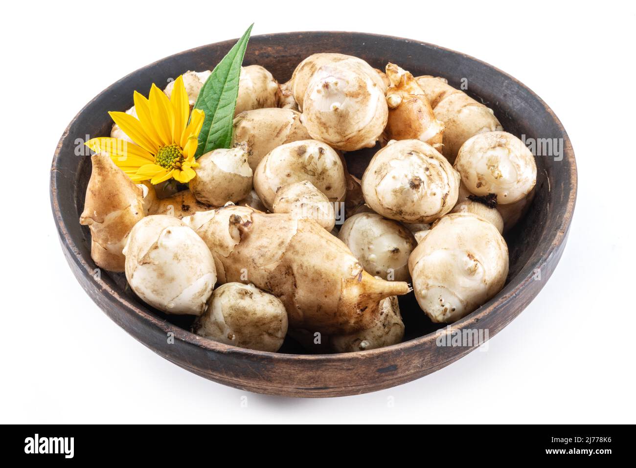 Jerusalem artichoke roots with leaves and flower of Jerusalem artichoke ...