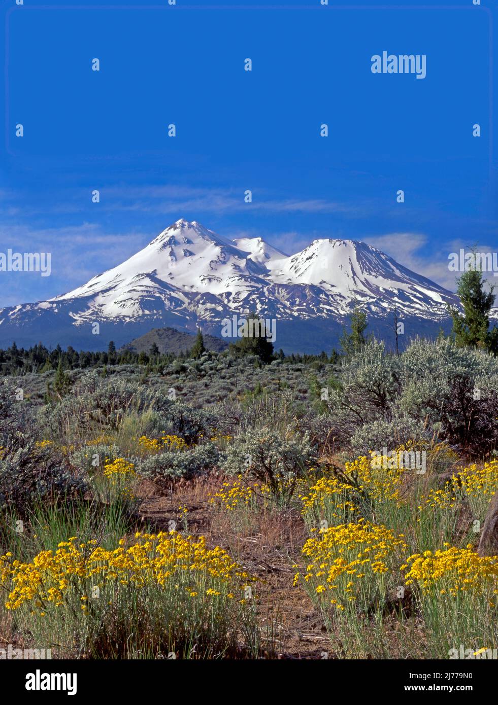 Mt shasta shastina hi-res stock photography and images - Alamy