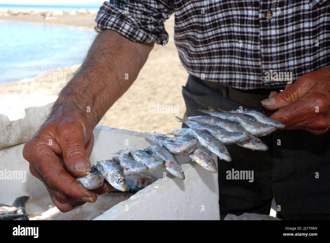 El general de cabra hi-res stock photography and images - Alamy