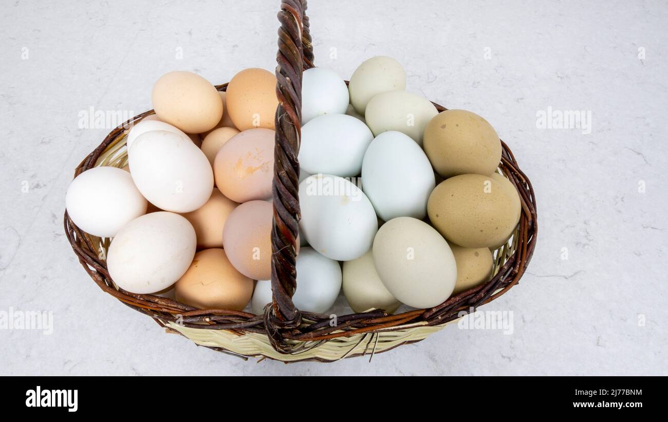 Free-Range Eggs in different colors are in a basket Stock Photo - Alamy