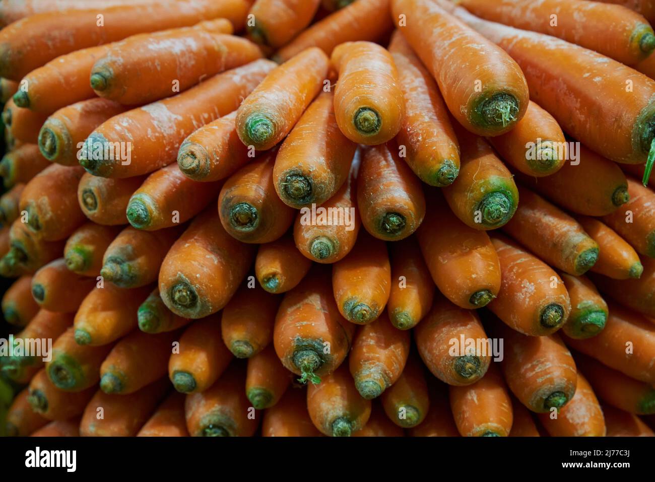 Stacked and sorted carrots placed on a shelf for sale at a market Stock ...