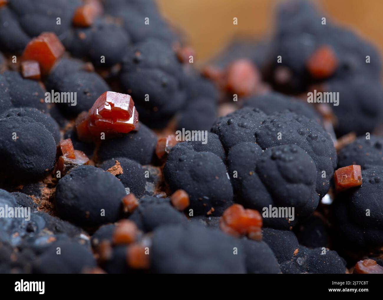 vanadinite, mineral specimen stone rock geology gem crystal Stock Photo ...