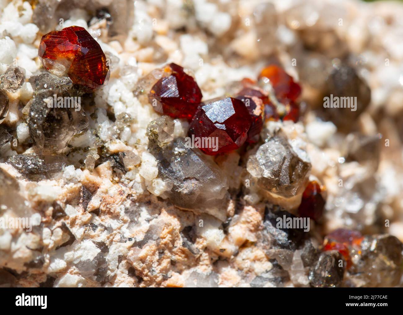 garnet mineral specimen stone rock geology gem crystal Stock Photo - Alamy