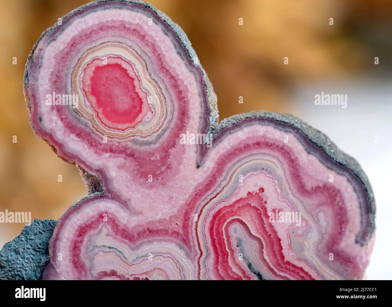 rhodochrosite,mineral specimen stone rock geology gem crystal Stock ...