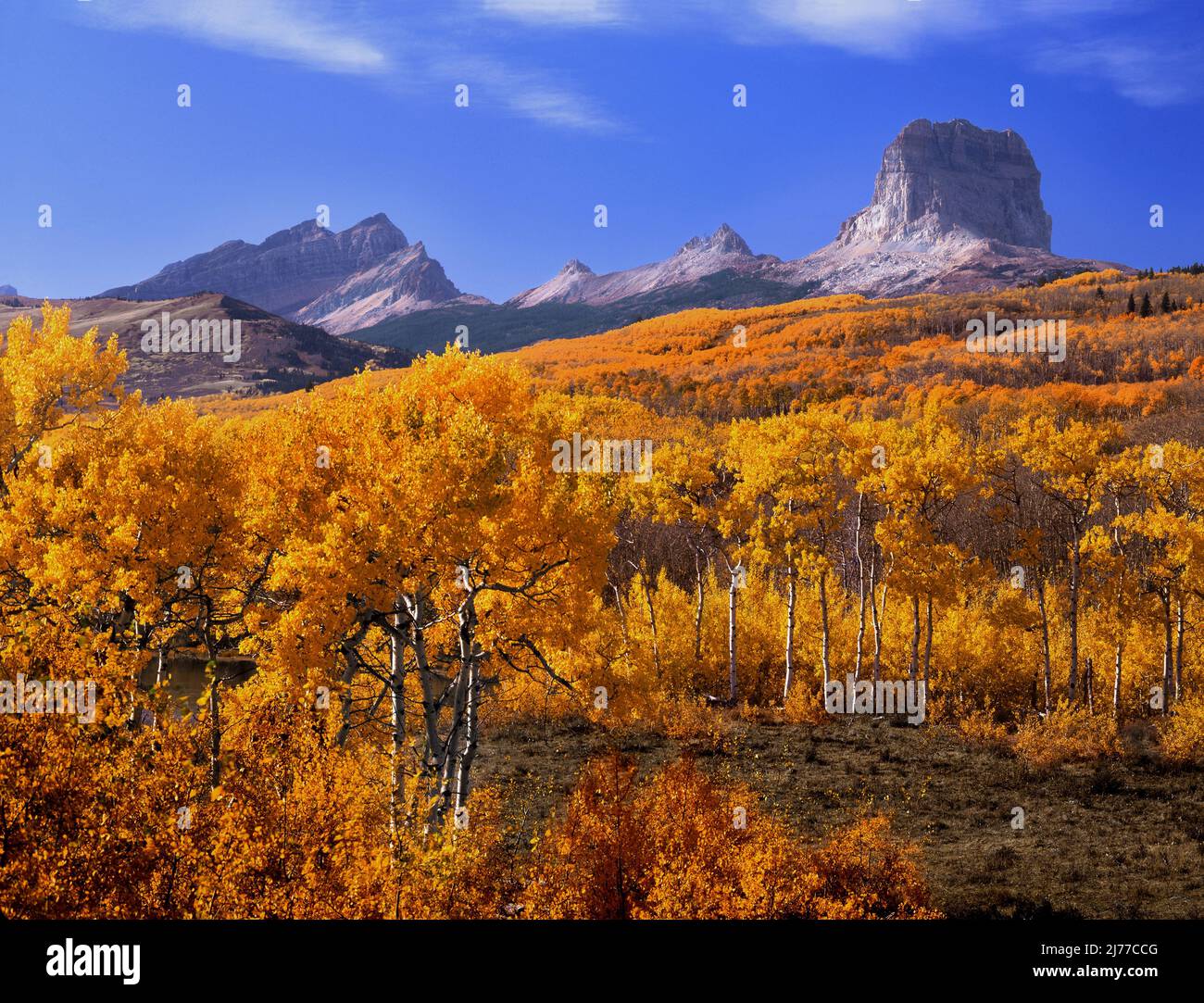 Chief Mountain, Glacier National Park, montana Stock Photo - Alamy