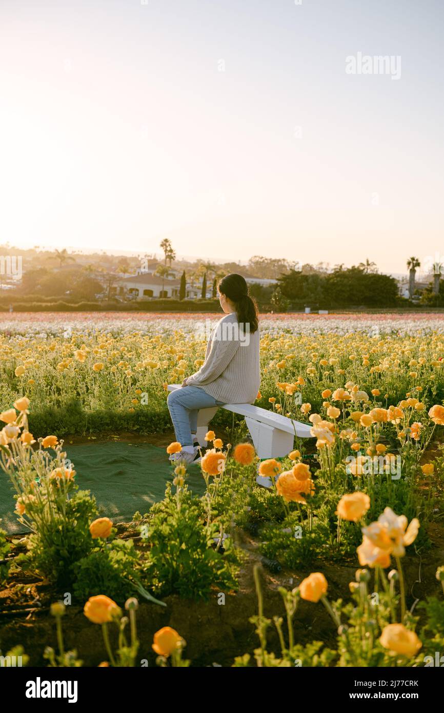 Old lady at sunset hi-res stock photography and images - Alamy