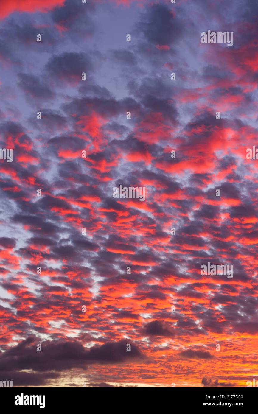 Gold clouds hi-res stock photography and images - Alamy