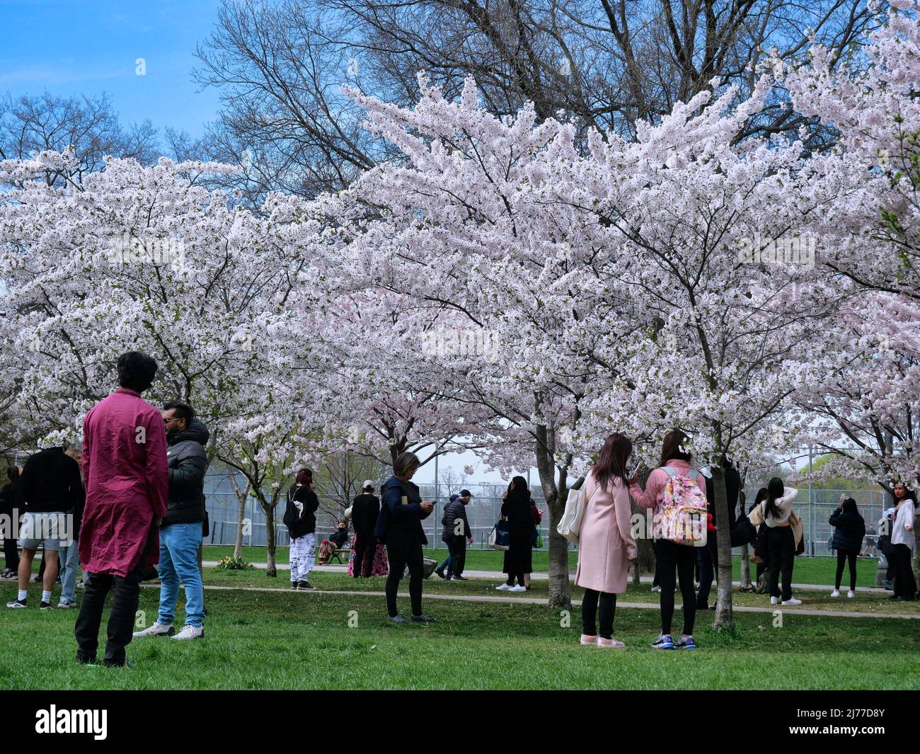 Toronto, Ontario, Canada - May 6, 2022: Toronto has adopted the ...