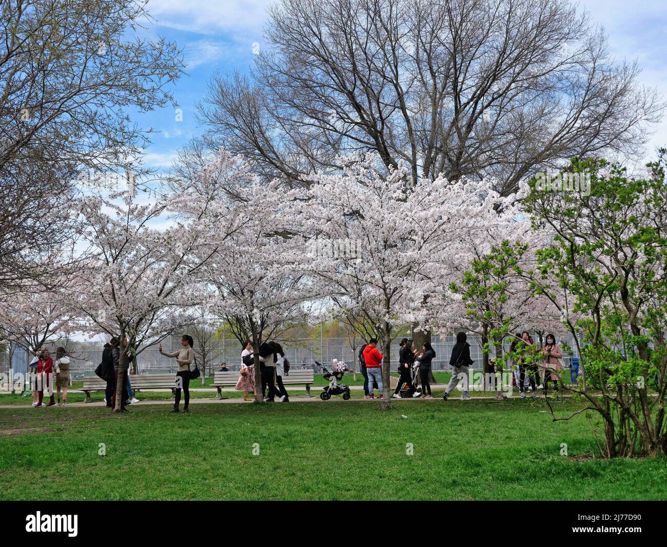 Toronto, Ontario, Canada - May 6, 2022: Toronto has adopted the ...
