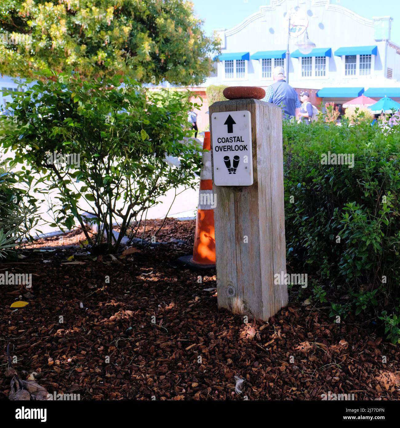 Coastal Overlook sign with arrow and binoculars icon pointing visitors ...