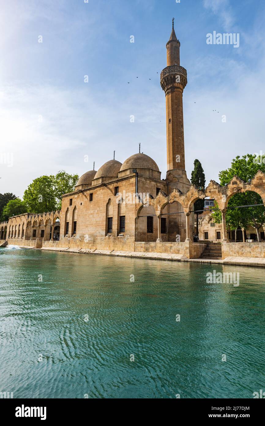Balikligol (The Fish Lake in English) in Sanliurfa, Turkey. The ...