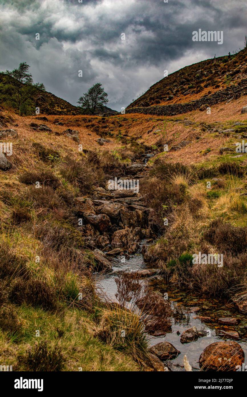 The stunning views walking the Aberglaslyn, Llyn Dinas and Cwm Bychan ...