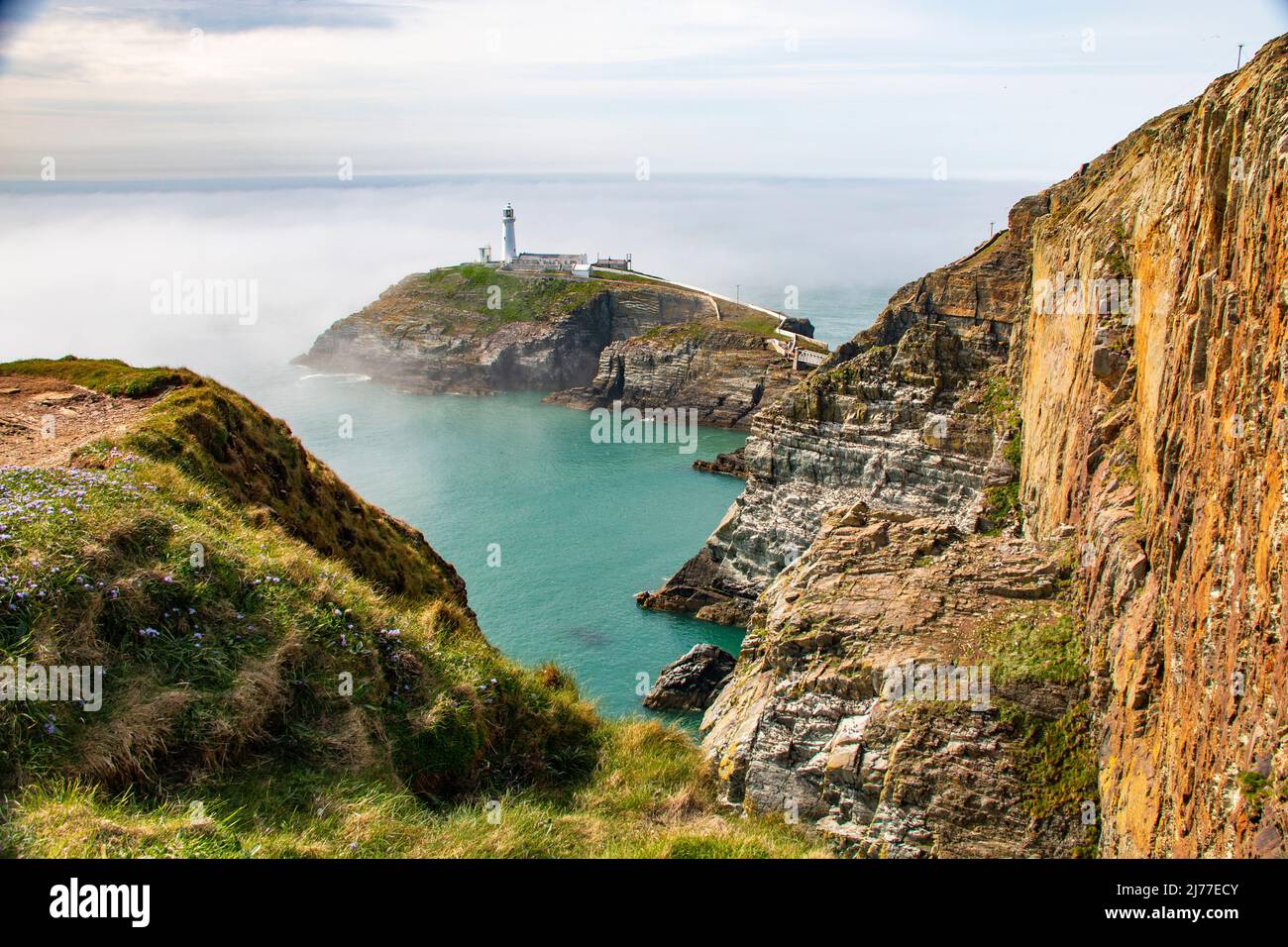 South stack cliffs wales hi-res stock photography and images - Alamy