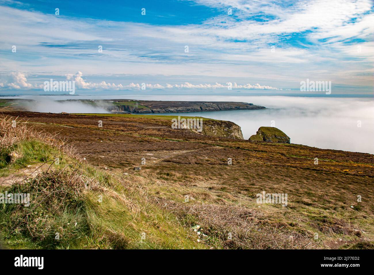 Stunning coastal scenery with low sea mist / cloud, nr South Stack ...