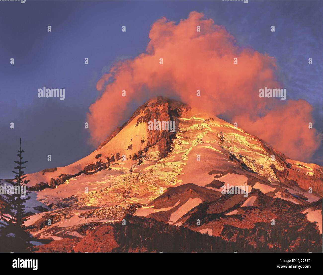 Cloud Cap at sunrise, Mt. Hood and Eliot Glacier, Oregon Stock Photo ...