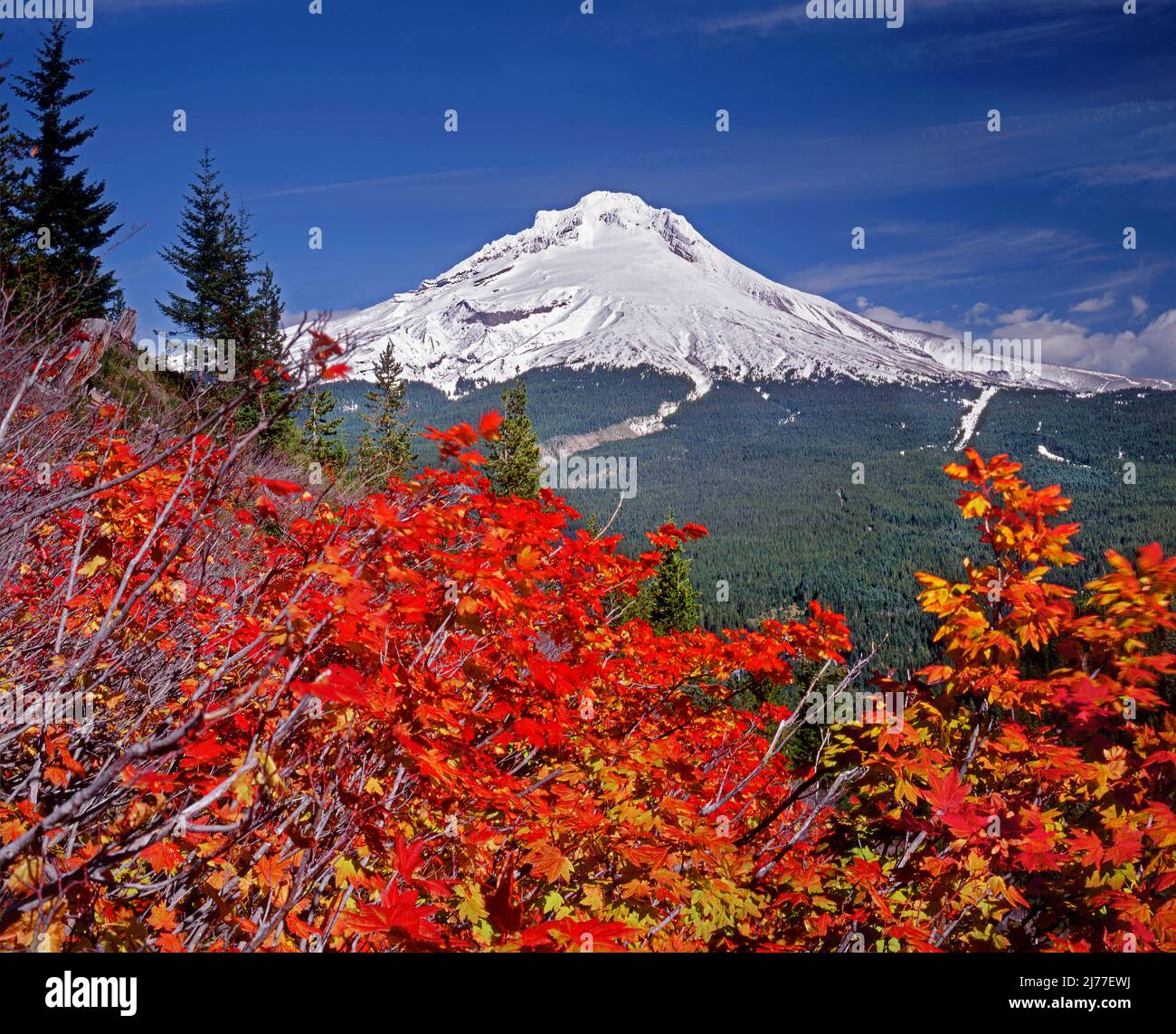 Mt hood autumn hi-res stock photography and images - Alamy