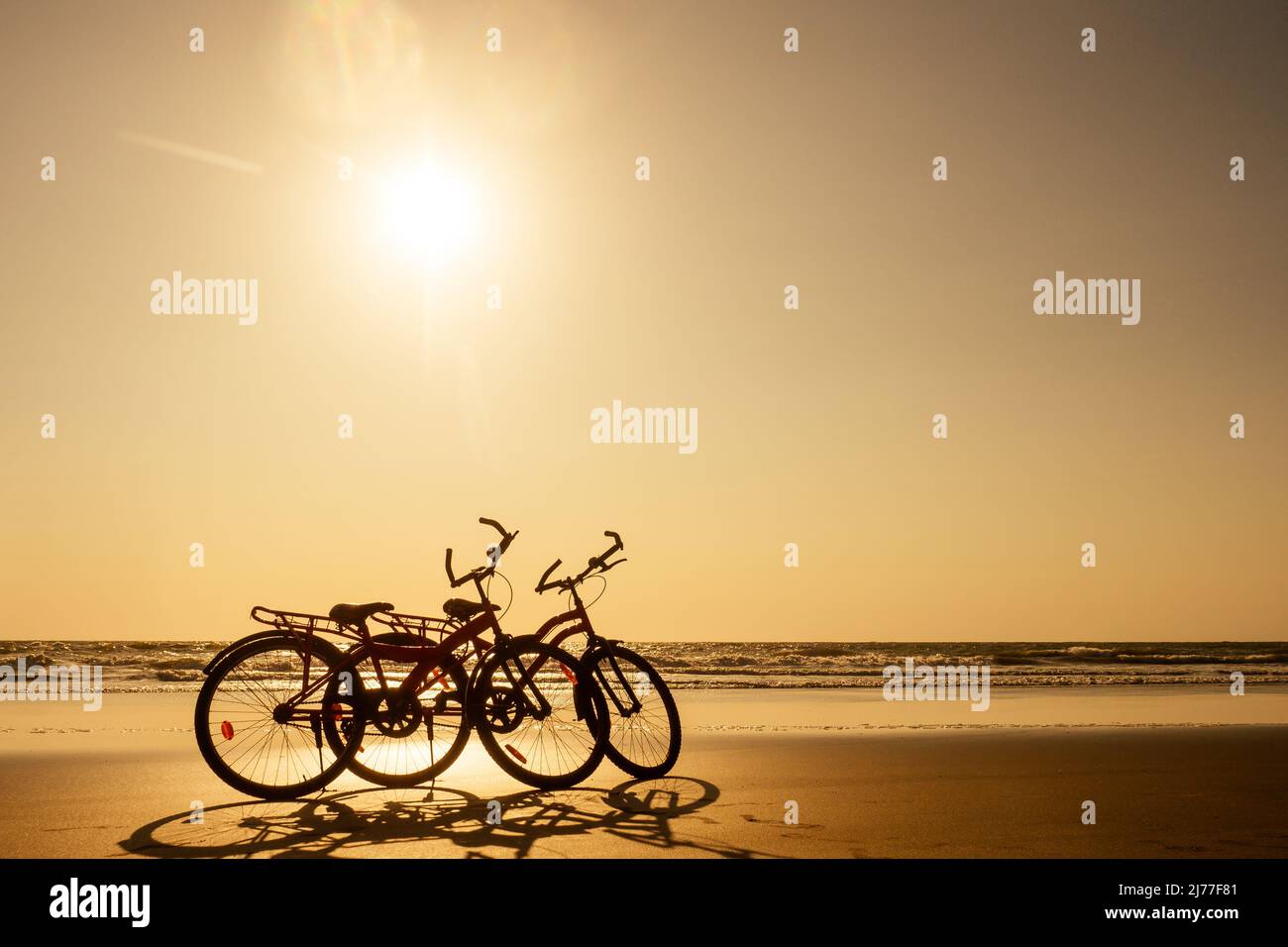 Woman without body hi-res stock photography and images - Alamy