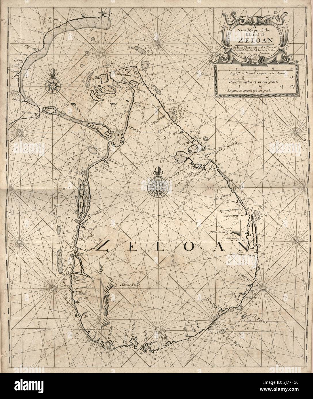 P maritimus hi-res stock photography and images - Alamy