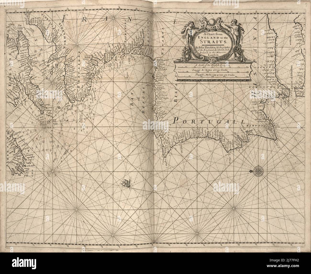 P maritimus hi-res stock photography and images - Alamy