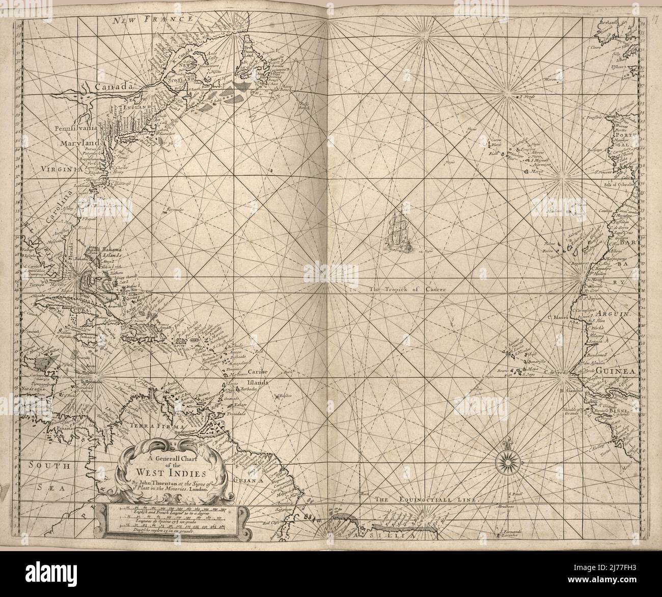 P maritimus hi-res stock photography and images - Alamy