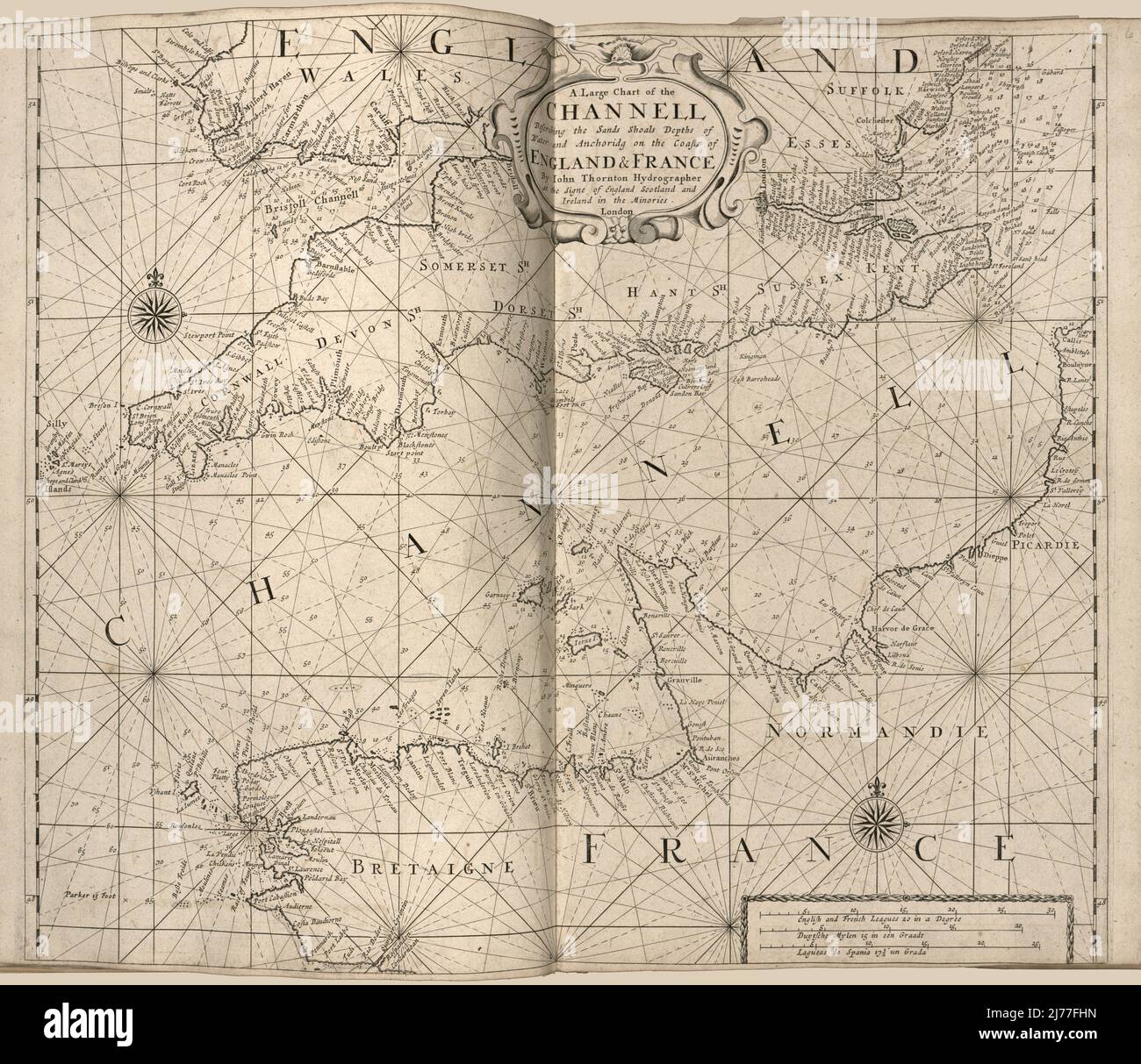 P maritimus hi-res stock photography and images - Alamy