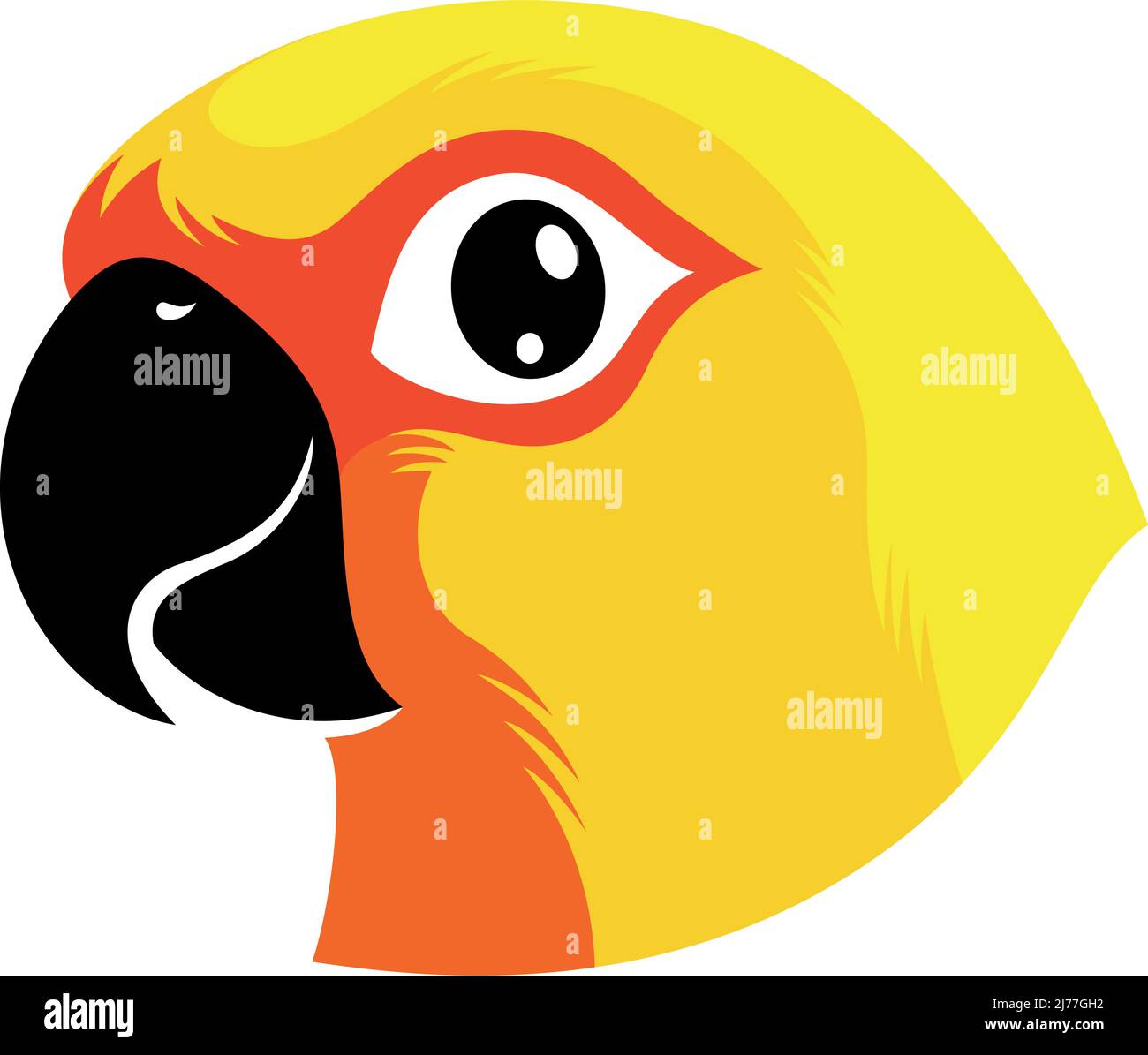 Conure vector vectors hi-res stock photography and images - Alamy