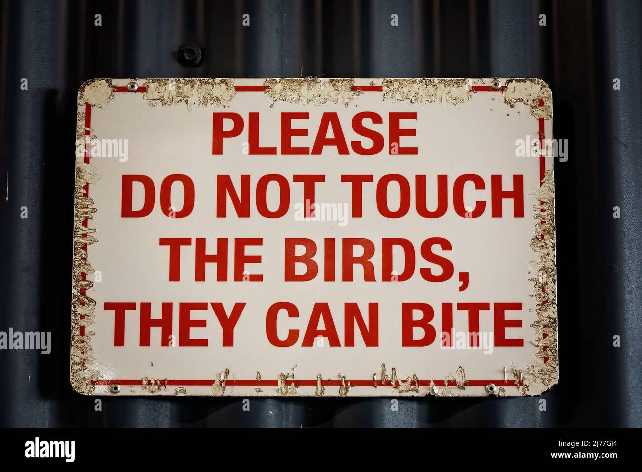 Please do not touch the birds, they can bite sign Stock Photo - Alamy