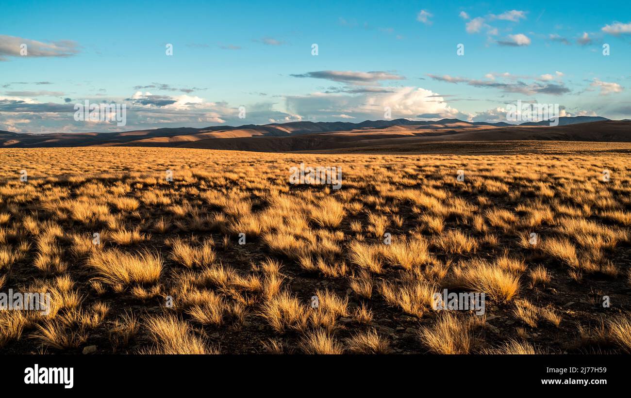 Hawkdun range hi-res stock photography and images - Alamy