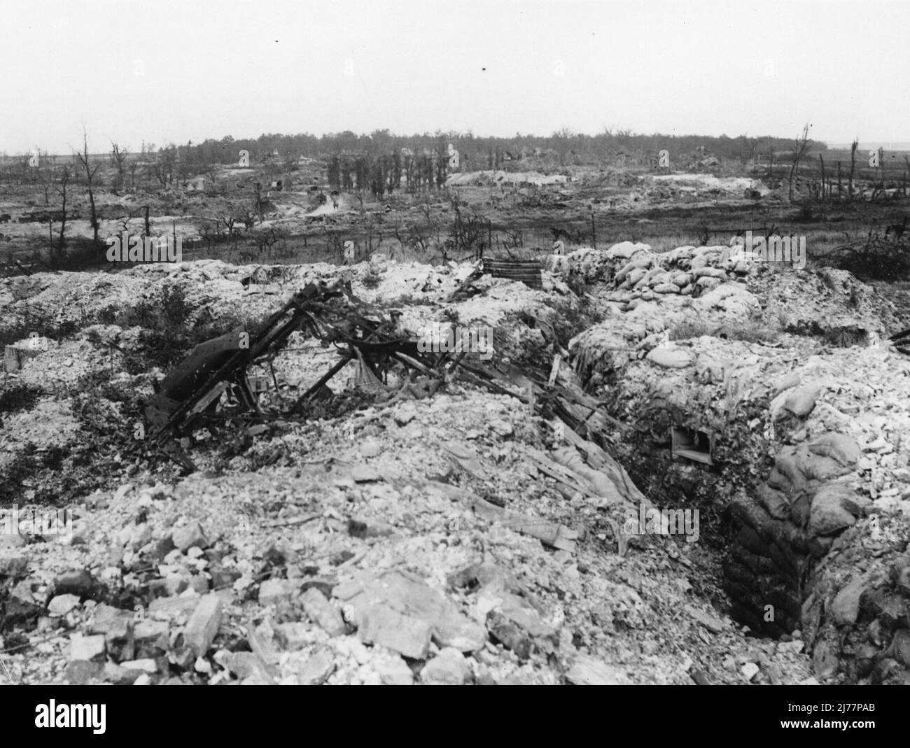 Distant view of the destroyed Mametz Wood showing battered German ...