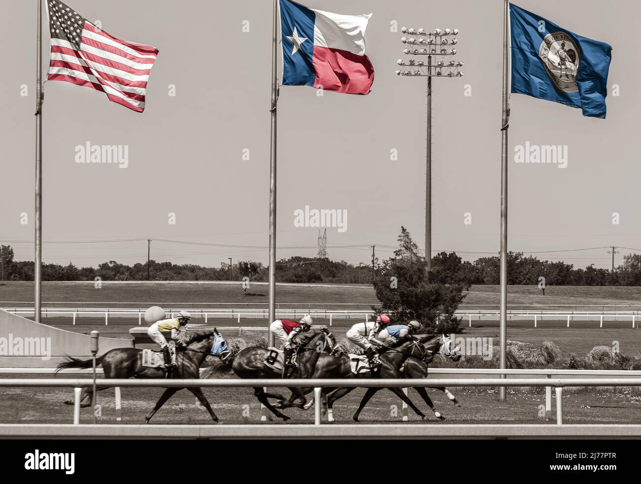 Black and white horse jockey hi-res stock photography and images - Alamy