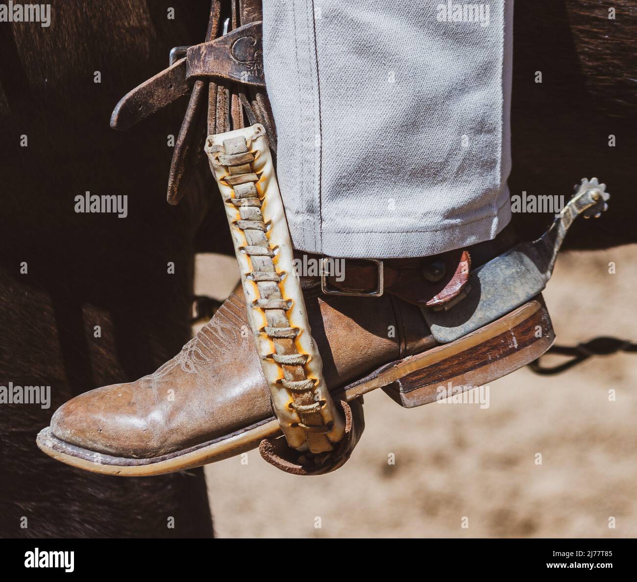Silver spurs rodeo hi-res stock photography and images - Alamy