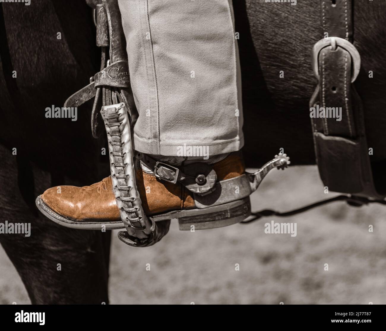 Silver spurs rodeo hi-res stock photography and images - Alamy