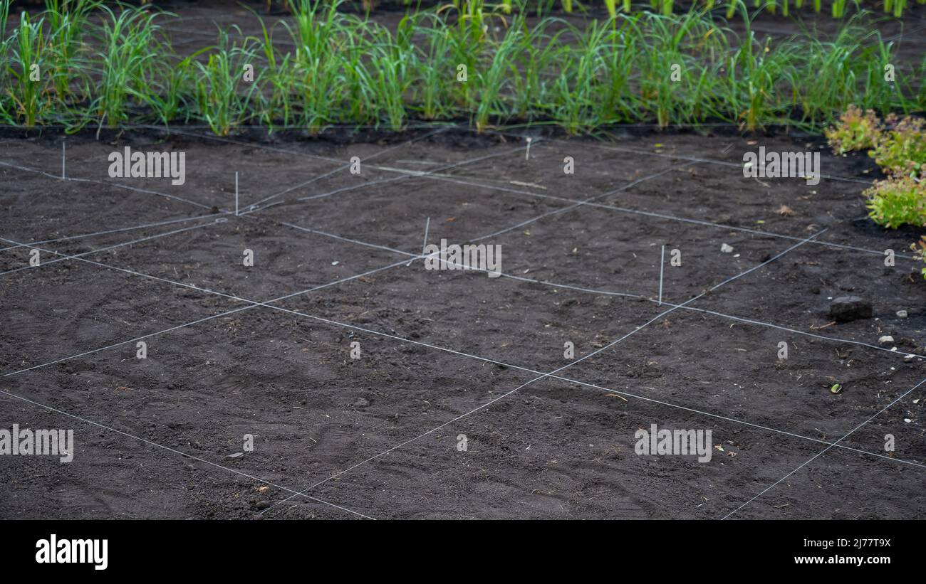 Landscaping. A lined plot of land for planting ornamental plants Stock ...
