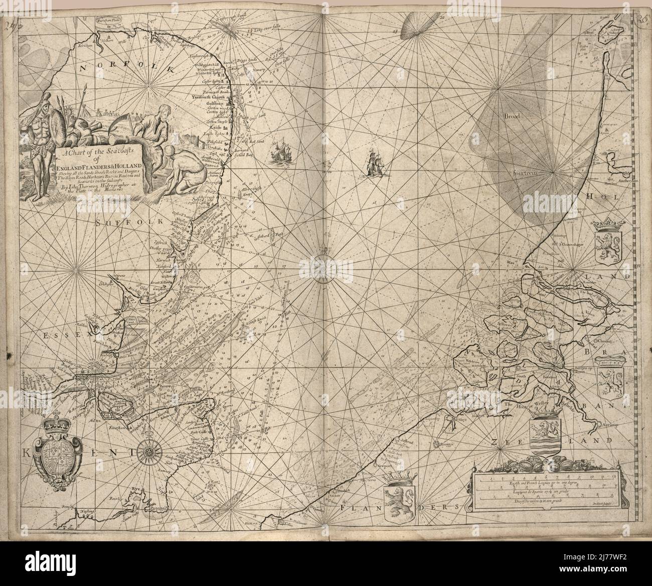 P maritimus hi-res stock photography and images - Alamy