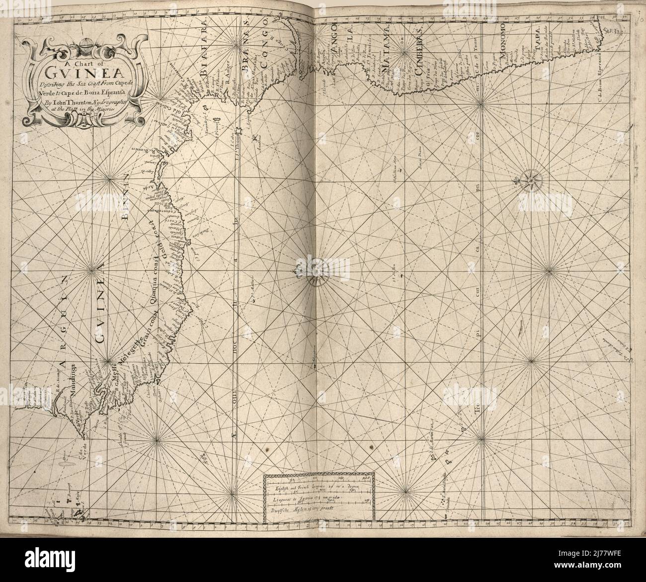 P maritimus hi-res stock photography and images - Alamy