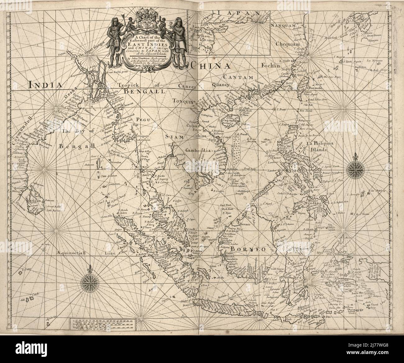 P maritimus hi-res stock photography and images - Alamy