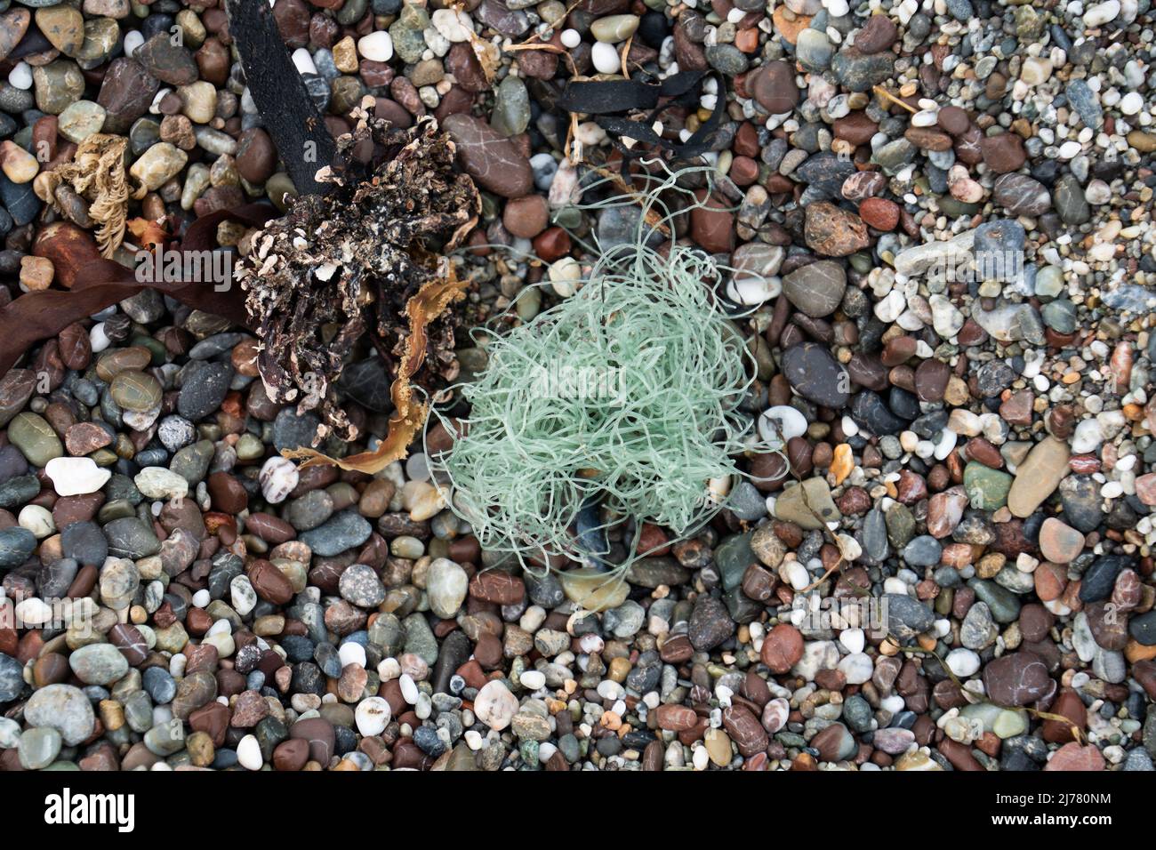 Tangled fishing line on beach hi-res stock photography and images - Alamy