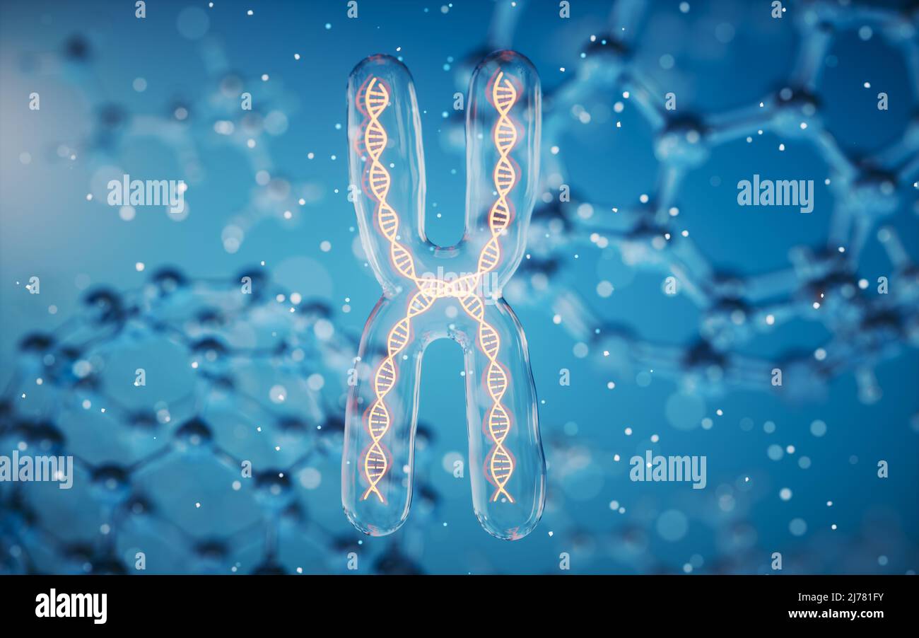 Chromosome with molecule background, 3d rendering. Computer digital ...